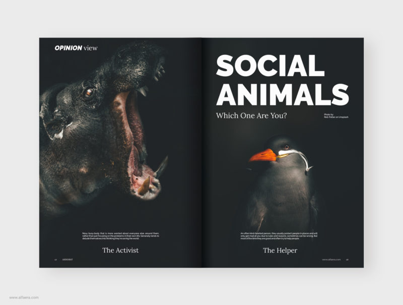 Magazine Template – CorelDRAW Templates